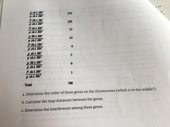 Solved O ne Beies on the chromosomer Section 14. Raymond | Chegg.com