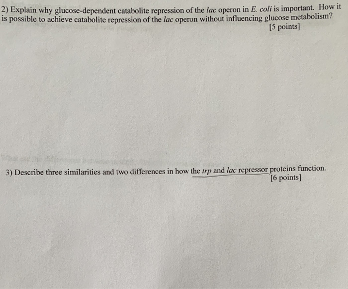 Solved 2) Explain why glucose-dependent catabolite | Chegg.com