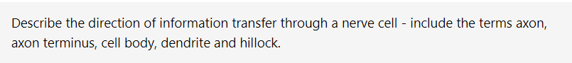 Solved What is the structure and function of the triad | Chegg.com