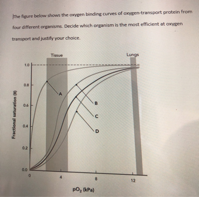 Solved e figure below shows the oxygen binding curves of | Chegg.com