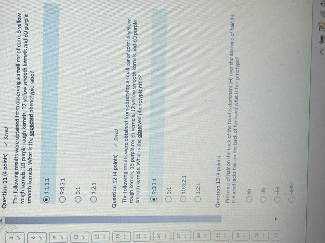 Solved 3 Question 11 (4 points) Saved The following | Chegg.com