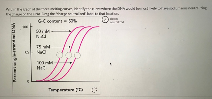 Within the graph of the three melting curves, | Chegg.com
