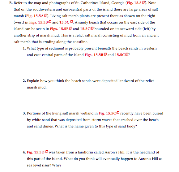 B East West Relict marsh mud Active salt marsh Ocean | Chegg.com