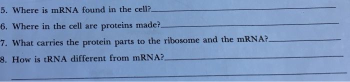 Solved 5. Where is mRNA found in the cell? 6. Where in the | Chegg.com