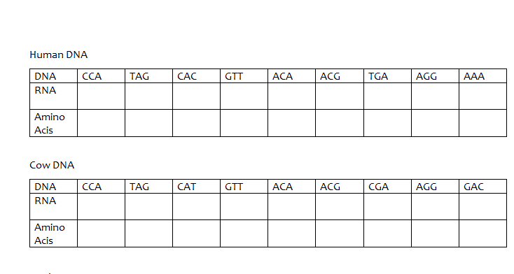 Solved Human DNA CCA TAG CAC GTT ACA ACG TGA AGG AAA DNA RNA | Chegg.com