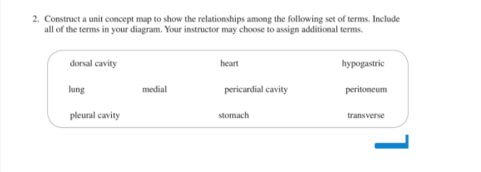 Solved Hello. Can you please help me answer this questions. | Chegg.com