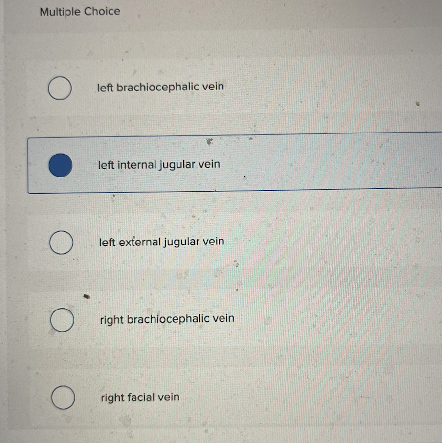 Solved Which structure is highlighted? Multiple Choice O O | Chegg.com