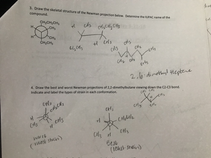 Solved 3. Draw the skeletal structure of the Newman | Chegg.com