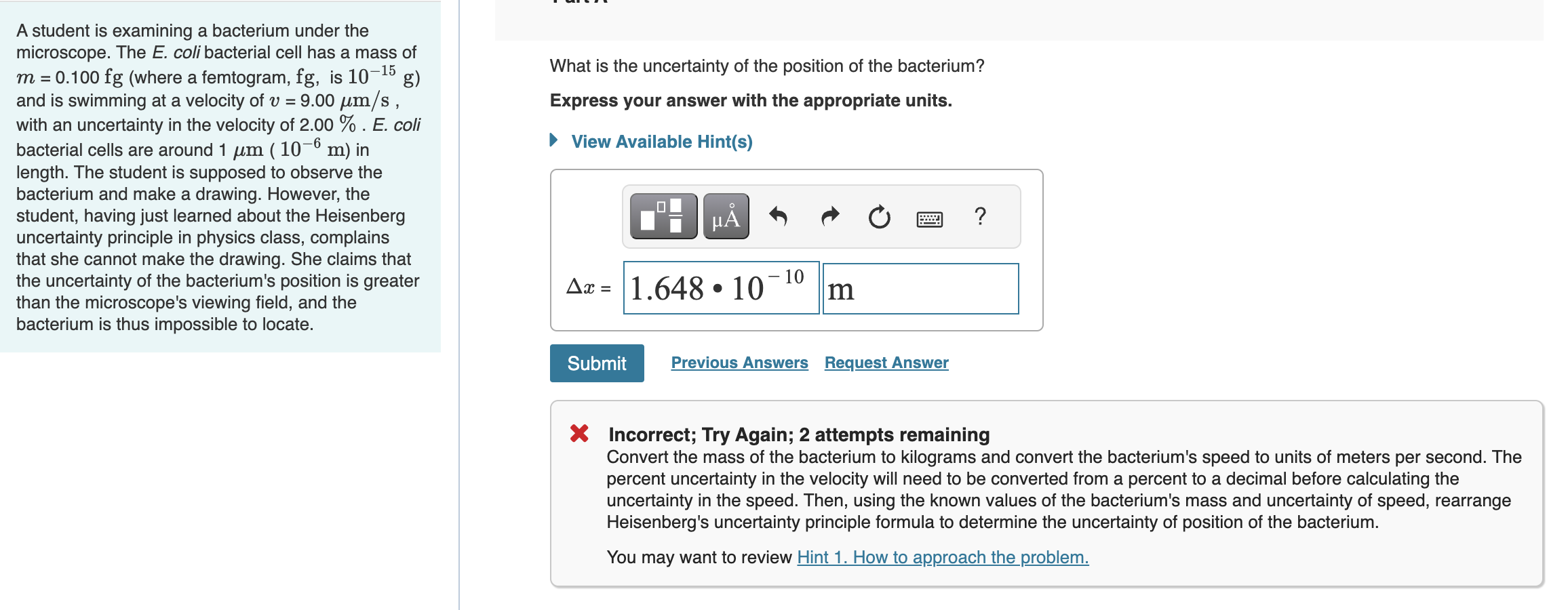 Solved A student is examining a bacterium under the | Chegg.com