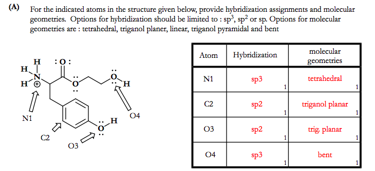 Solved I don't understand why O3 is sp2 hybridization and | Chegg.com