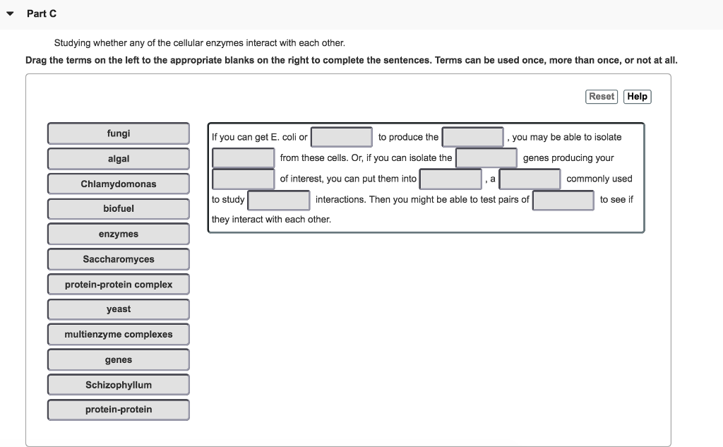 Solved Part C Studying whether any of the cellular enzymes | Chegg.com