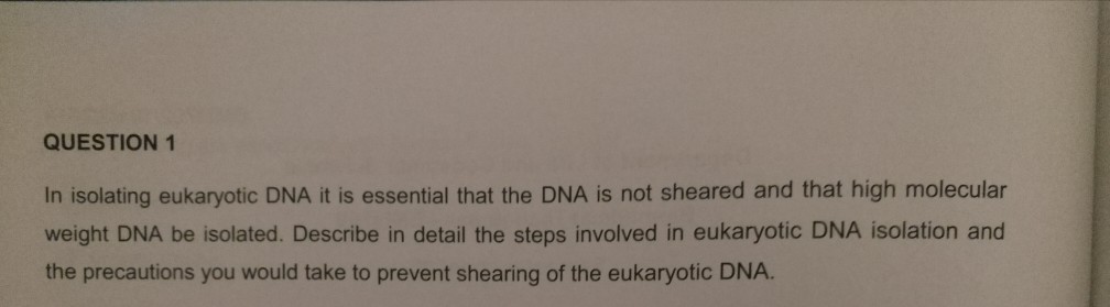 Solved QUESTION 1 In isolating eukaryotic DNA it is | Chegg.com