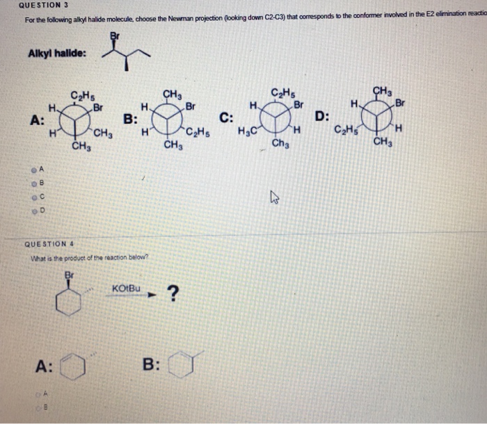 Solved QUESTION 3 For the following alkyi halide molecule, | Chegg.com