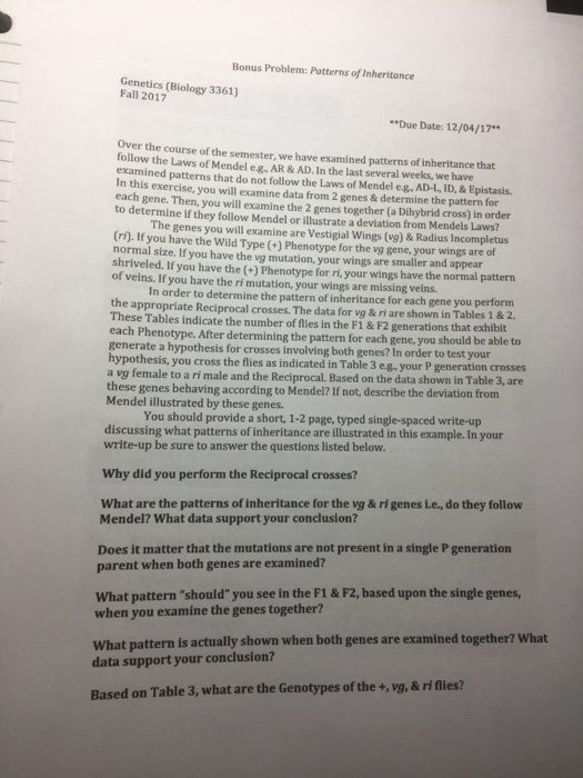 Solved Bonus Problem: Patterns of Inheritance Genetics | Chegg.com