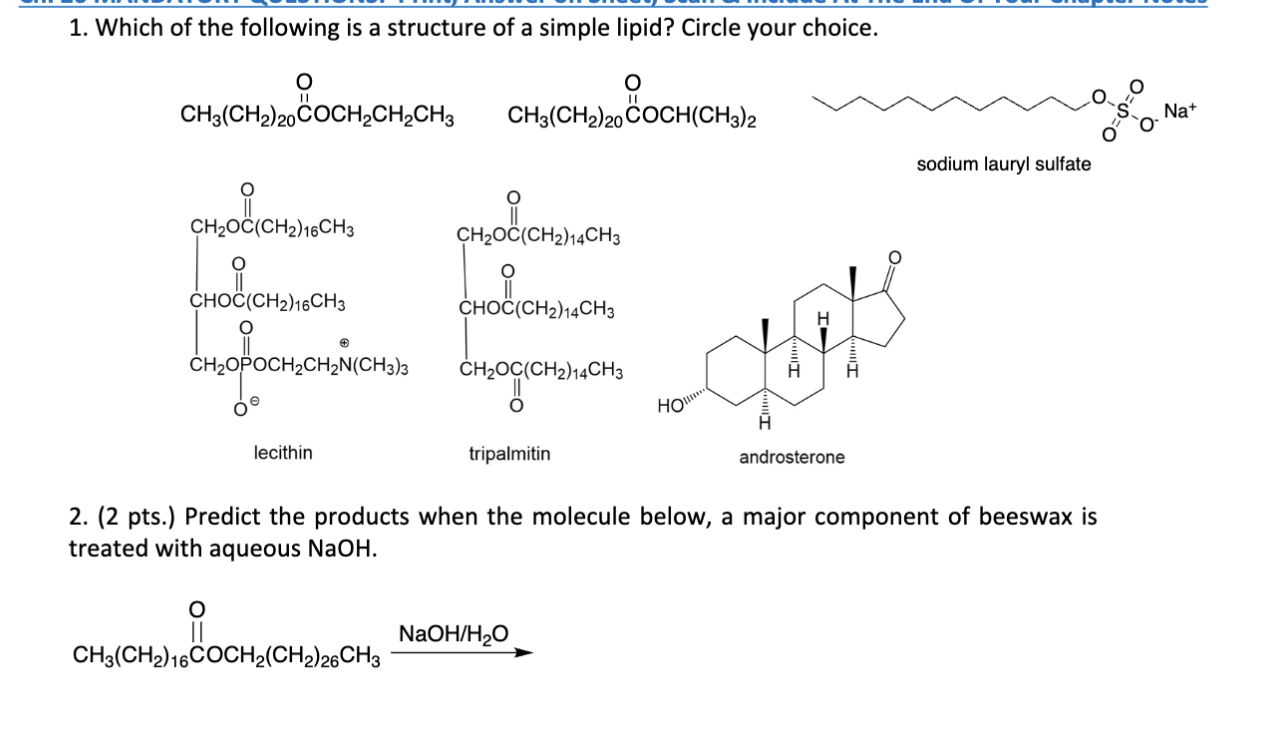 Solved 1. Which of the following is a structure of a simple | Chegg.com