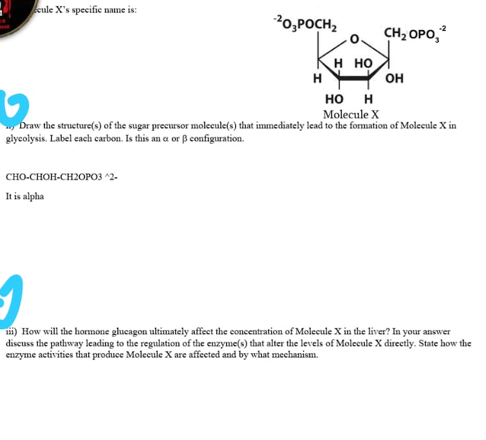 Solved 23. (10 points total) А с CH2OH CH2OH CH2OH H о H ОН | Chegg.com