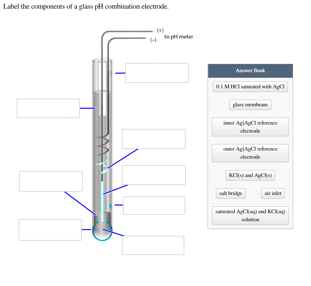 Solved Label the components of a glass pH combination | Chegg.com