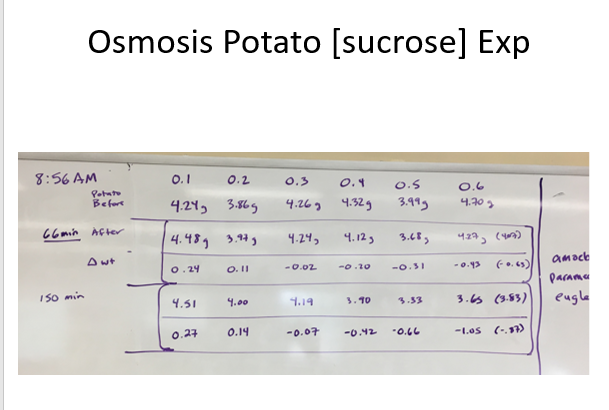 Attached Files: Osmosis Potato Raw Data 30722.xlsx | Chegg.com