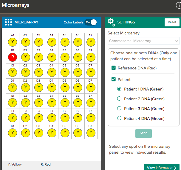 Solved In the Chromosomal Microarray, which patient appears | Chegg.com