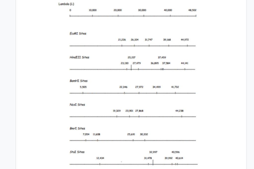 Solved List the DNA fragments in the following chart under | Chegg.com