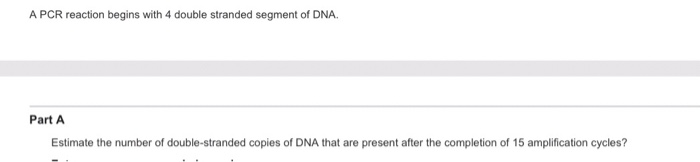 Solved A PCR reaction begins with 4 double stranded segment | Chegg.com