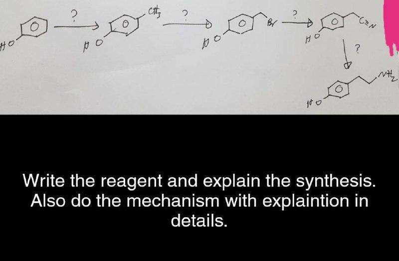 Solved ett Br N to. to ? Write the reagent and explain the | Chegg.com