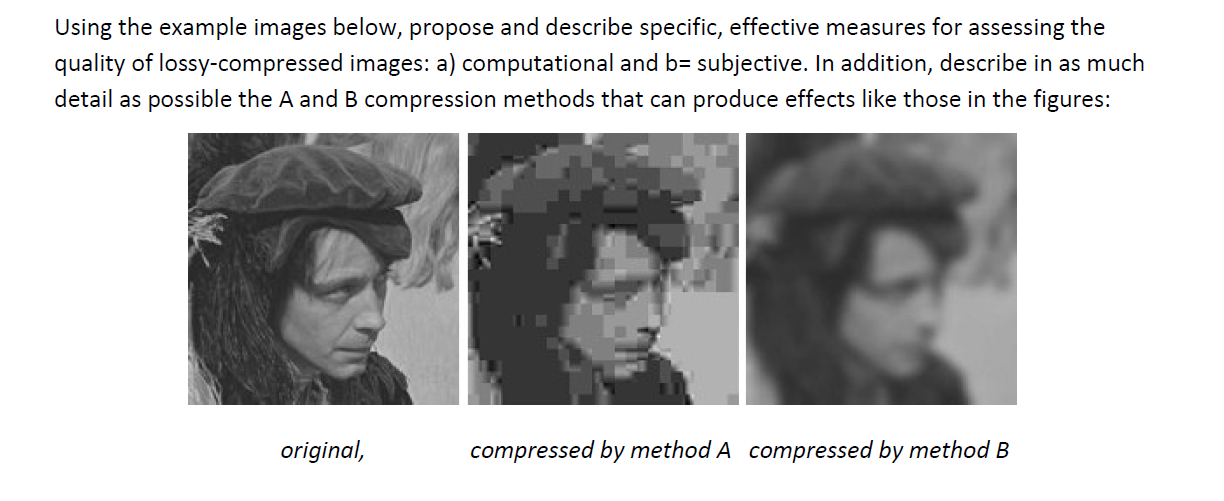 Solved Using the example images below, propose and describe | Chegg.com