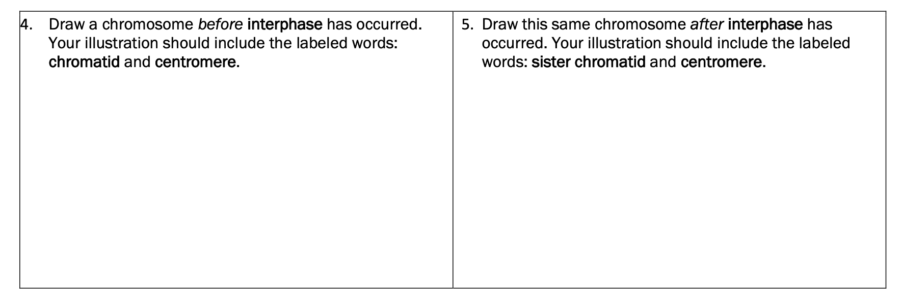 Solved 4. Draw a chromosome before interphase has occurred. | Chegg.com