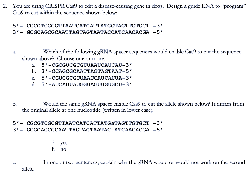 Solved 2. You are using CRISPR Cas9 to edit a | Chegg.com