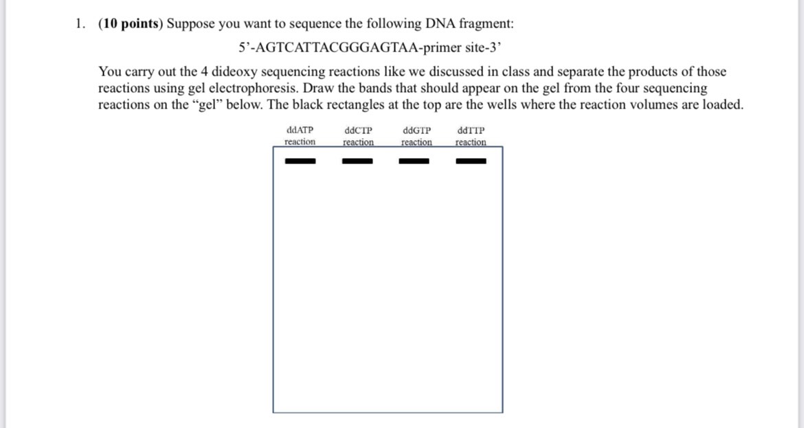 Solved (10 ﻿points) ﻿Suppose you want to sequence the | Chegg.com