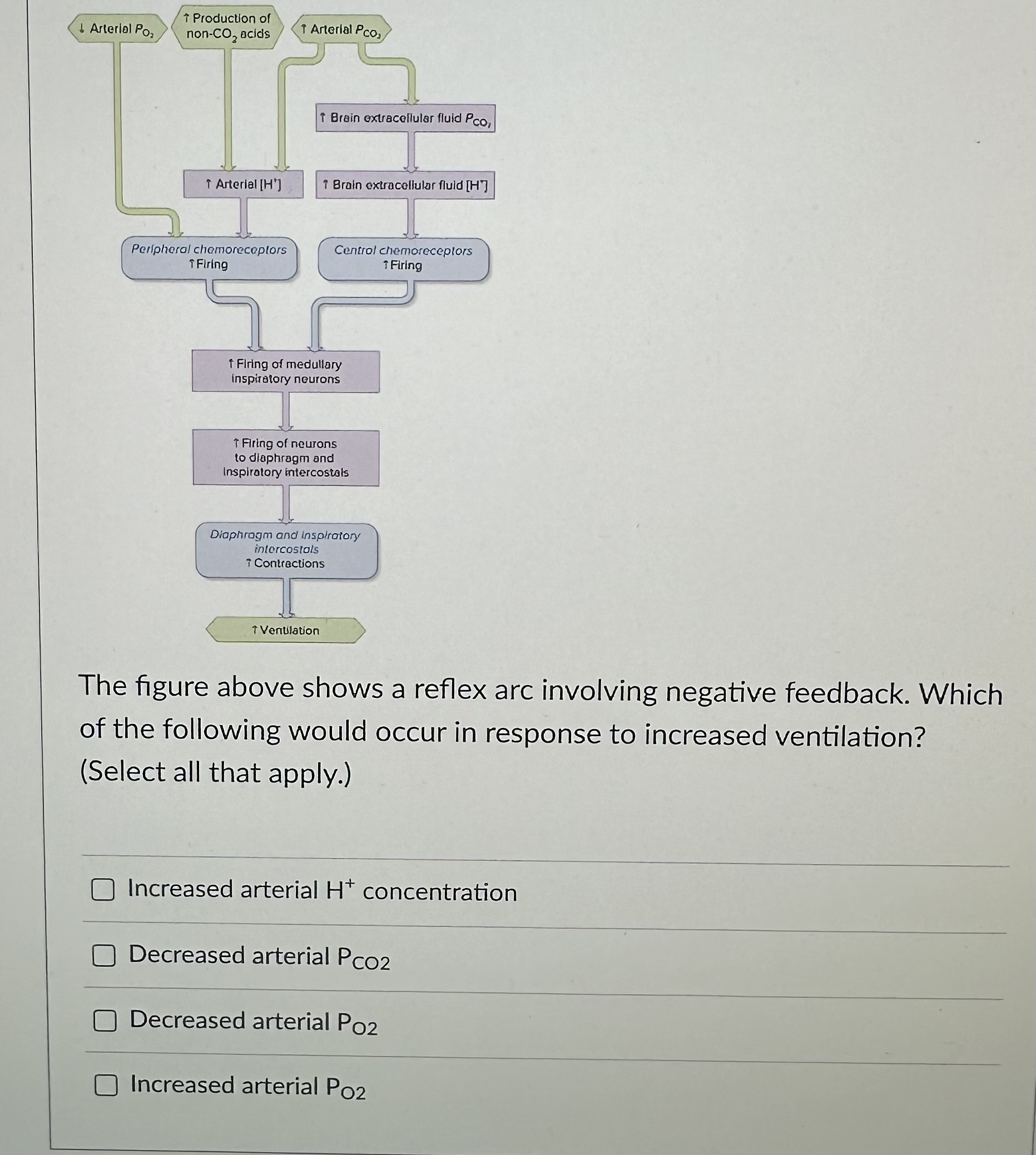Solved The figure above shows a reflex arc involving | Chegg.com