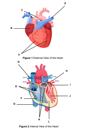 Solved The diagrams (Figure 1 and Figure 2) below show | Chegg.com