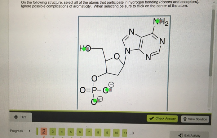 Solved On the following structure, select all of the atoms | Chegg.com