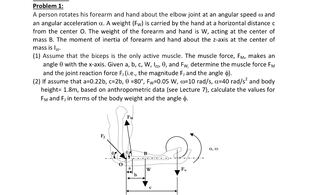 Solved Problem 1: A person rotates his forearm and hand | Chegg.com