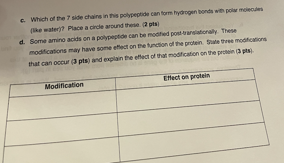 Solved The following segment of DNA in a hypothetical model | Chegg.com