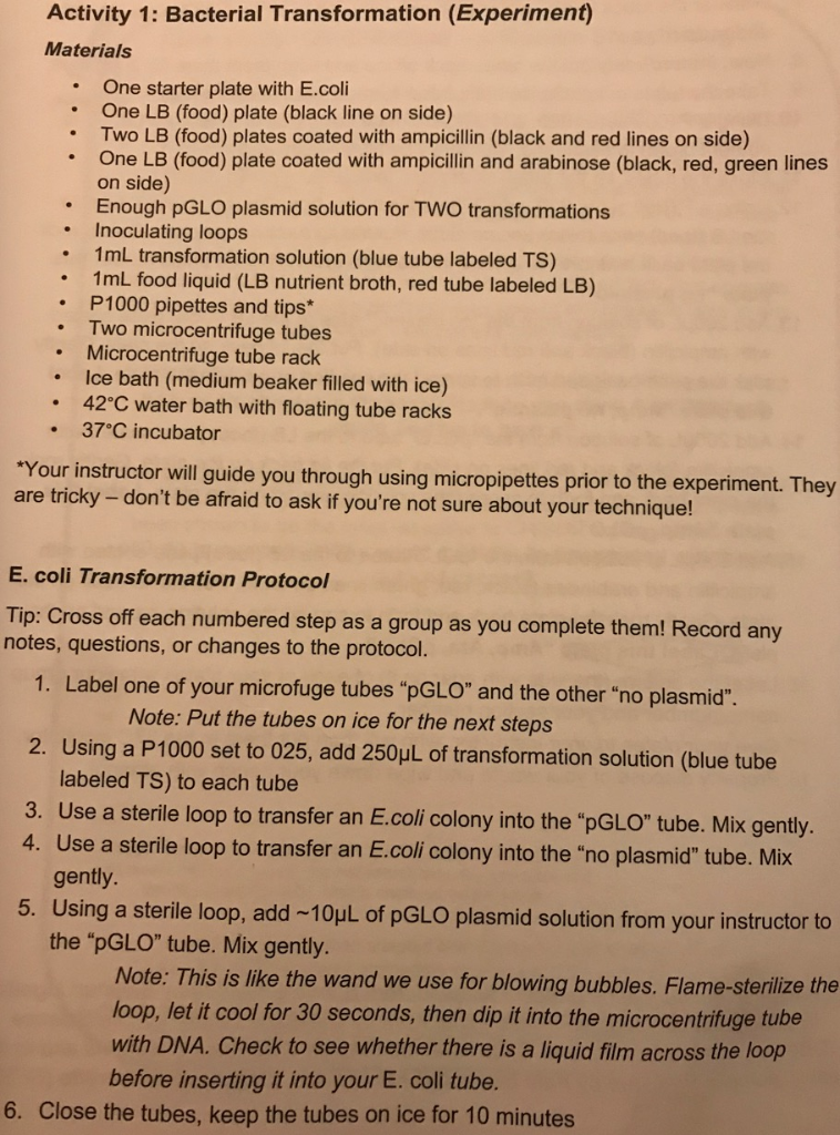 Solved Activity 1: Bacterial Transformation (Experiment) | Chegg.com