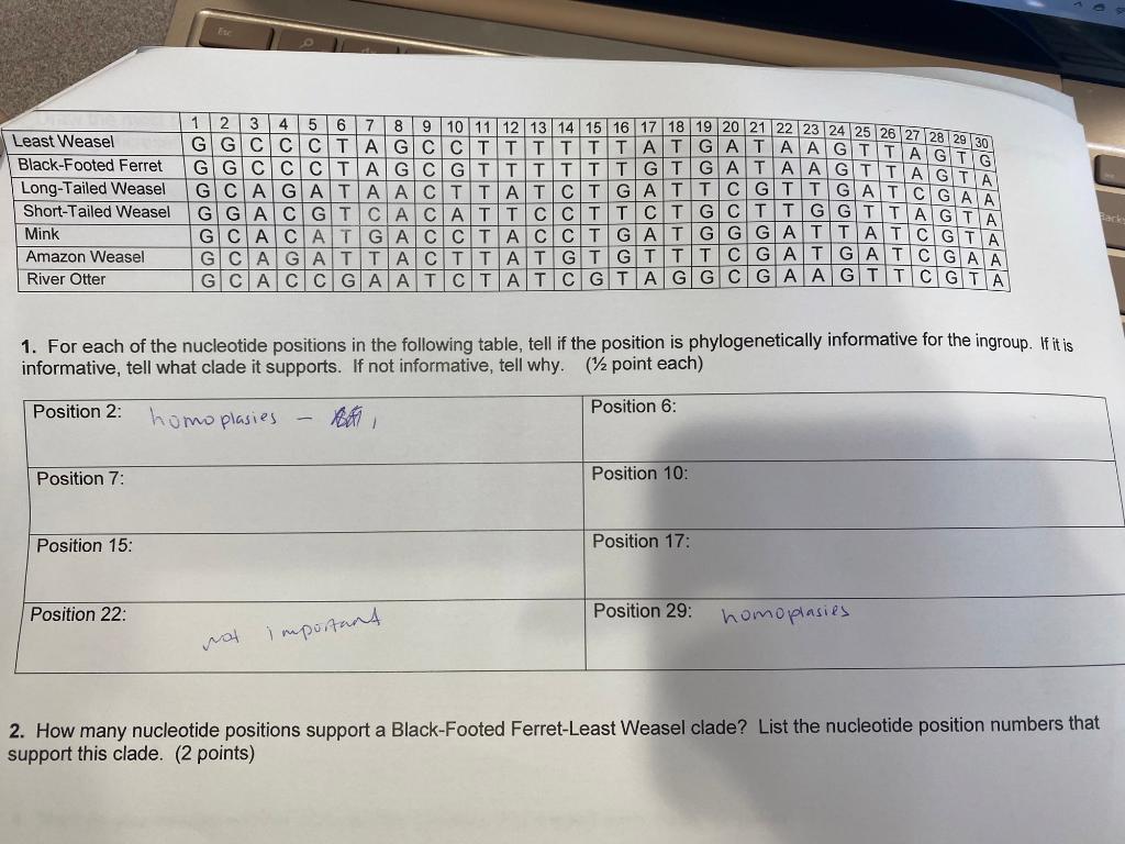 Draw the most parsimonious tree based on these data. | Chegg.com