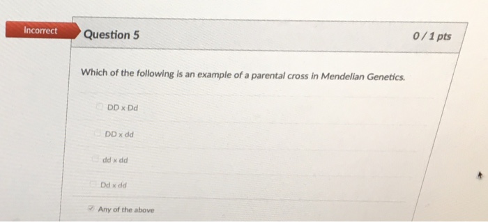 Solved ?p.instructure..con Mal HW 6 Me Use the choices from | Chegg.com