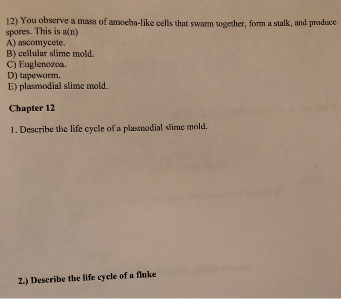 Solved 12) You observe a mass of amoeba-like cells that | Chegg.com