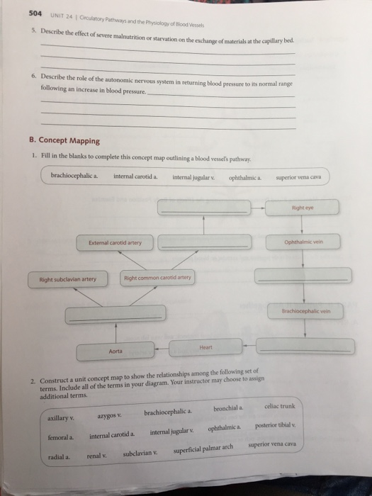 Solved Post lab quizzes are also assignable n MasteringA&P | Chegg.com