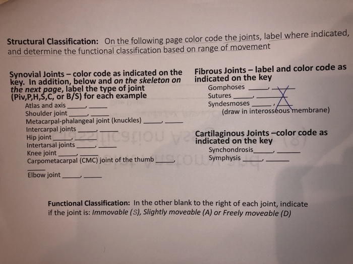 Structural Classification: On the following page | Chegg.com