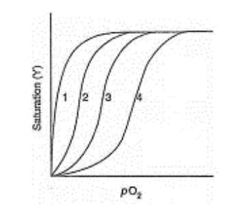 Solved Several oxygen dissociation curves are shown in the | Chegg.com