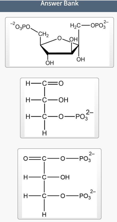 Solved The structures of five of the compounds of glycolysis | Chegg.com