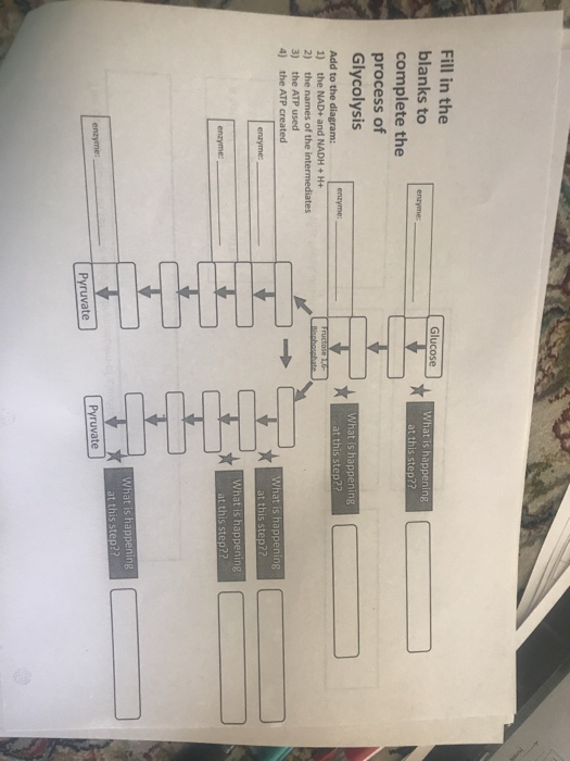 Solved Fill in the blanks to complete the process of | Chegg.com