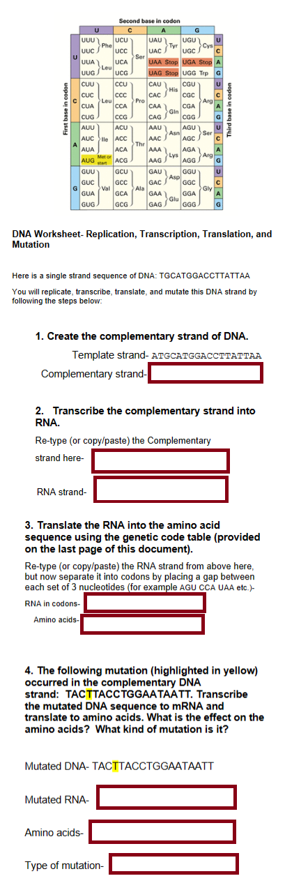 Solved DNA Worksheet- Replication, Transcription, | Chegg.com