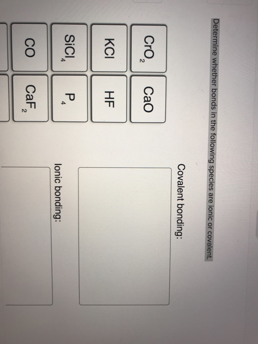 Solved Determine whether bonds in the following species are | Chegg.com