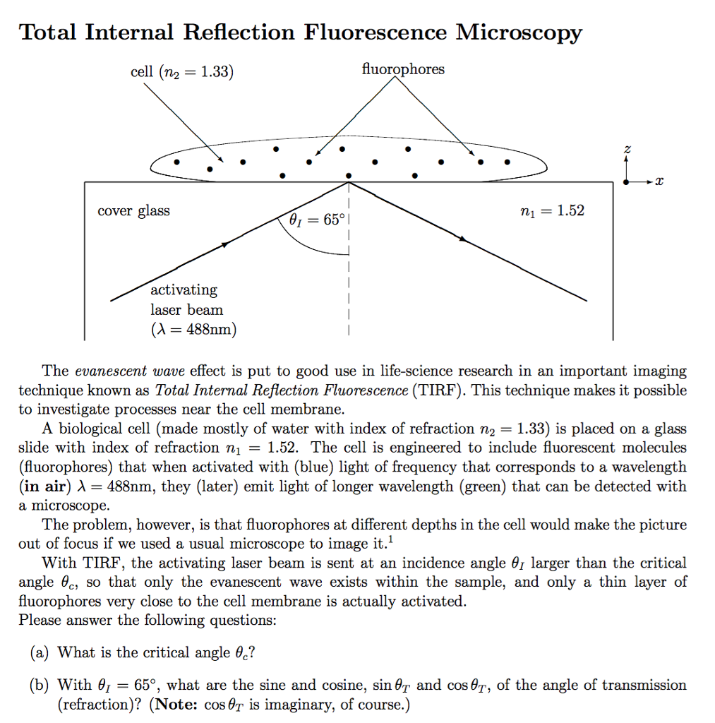 Solved Total Internal Reflection Fluorescence Microscopy | Chegg.com
