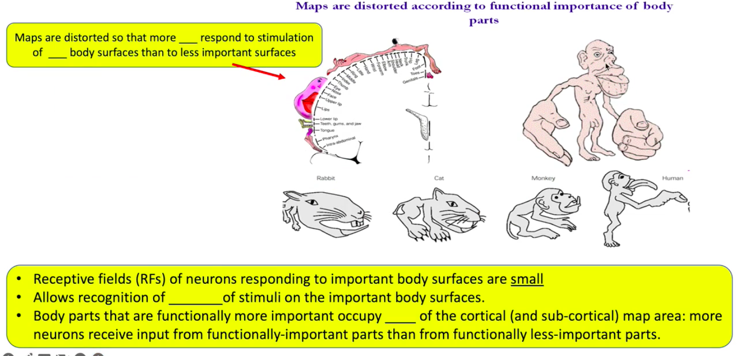 Solved Maps are distorted according to functional importance | Chegg.com