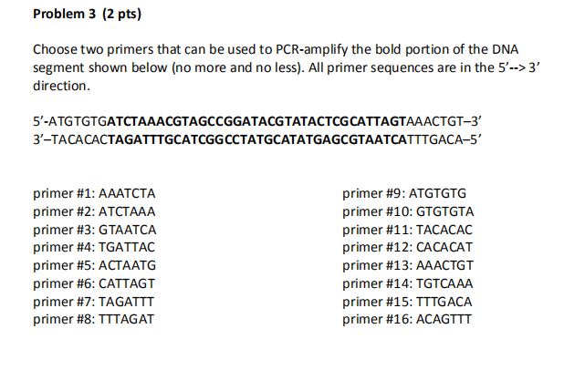Solved Problem 3 (2 pts) Choose two primers that can be used | Chegg.com
