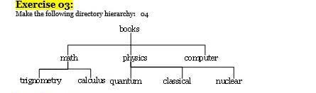Solved Exercise o3: Make the following directory hierarchy: | Chegg.com